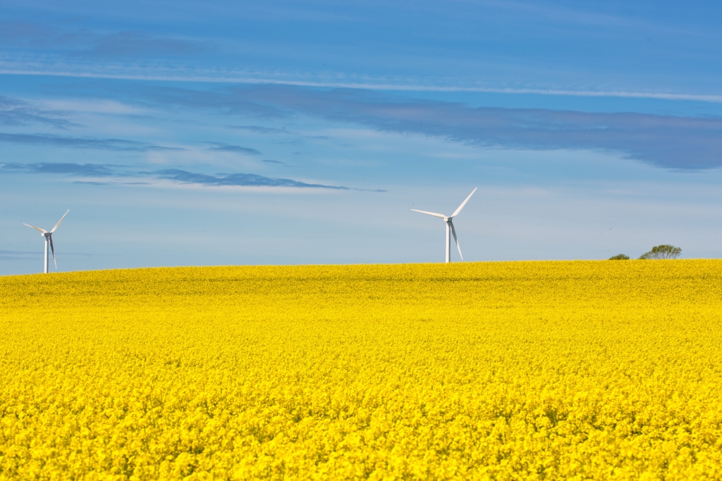 5MW Operational Wind Farm Power Station | MergersCorp M&A International